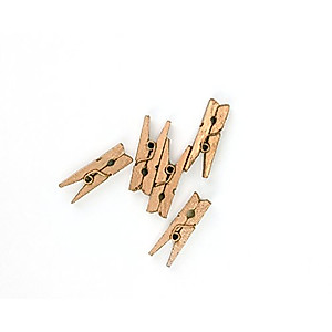 LWR CRAFTS Wooden Mini Clothespins 500 Per Pack 1" 2.5cm (Golden)