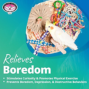 Super Bird Creations SB543 Busy Birdie Play Perch Bird Toy, Small/Medium Bird Size, 9.5" x 9.5" x 6"