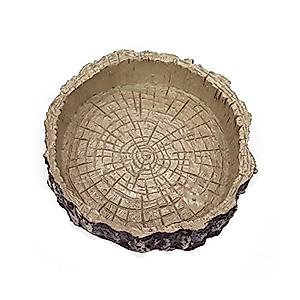 Reptile Water Dish Feeder Bowl Pet Feeding Tray Environmentally Friendly Resin for Tortoise, Gecko, Turtle, Snake, Lizard, Spider, Chameleon