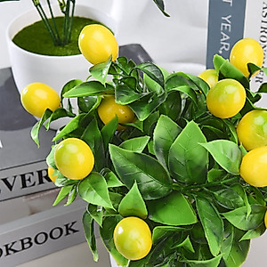 JUOPZKENN Artificial Plant Potted, Artificial Fruit Lemon Tree Plant Decor Faux Lemon Tree Topiary Fake Greenery for Home Office Table Decorations(#1)