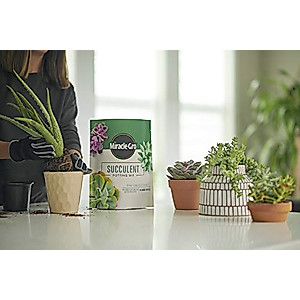 Miracle-Gro Succulent Potting Mix: Fertilized Soil with Premium Nutrition for Indoor Cactus Plants, Aloe Vera and More, 4 qt.