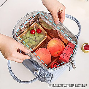 𝗞𝗮𝘄𝗮𝗶𝗶 𝗟𝘂𝗻𝗰𝗵 𝗕𝗮𝗴, Large Picnic Bag, Insulated Bag for Hot or Cold, Reusable Tote Bag, 𝗖𝘂𝘁𝗲 𝗔𝗲𝘀𝘁𝗵𝗲𝘁𝗶𝗰 𝗟𝘂𝗻𝗰𝗵 𝗕𝗮𝗴 for Women, Thermal/Cooler Handbag