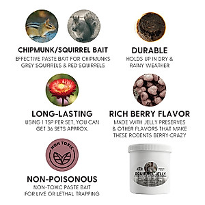 Squirrel Jelly Paste Bait 8 Ounce | Irresistible Sweet Scented & Highly Attractive Lure for Red & Grey Squirrels Chipmunks | Good All Season Long