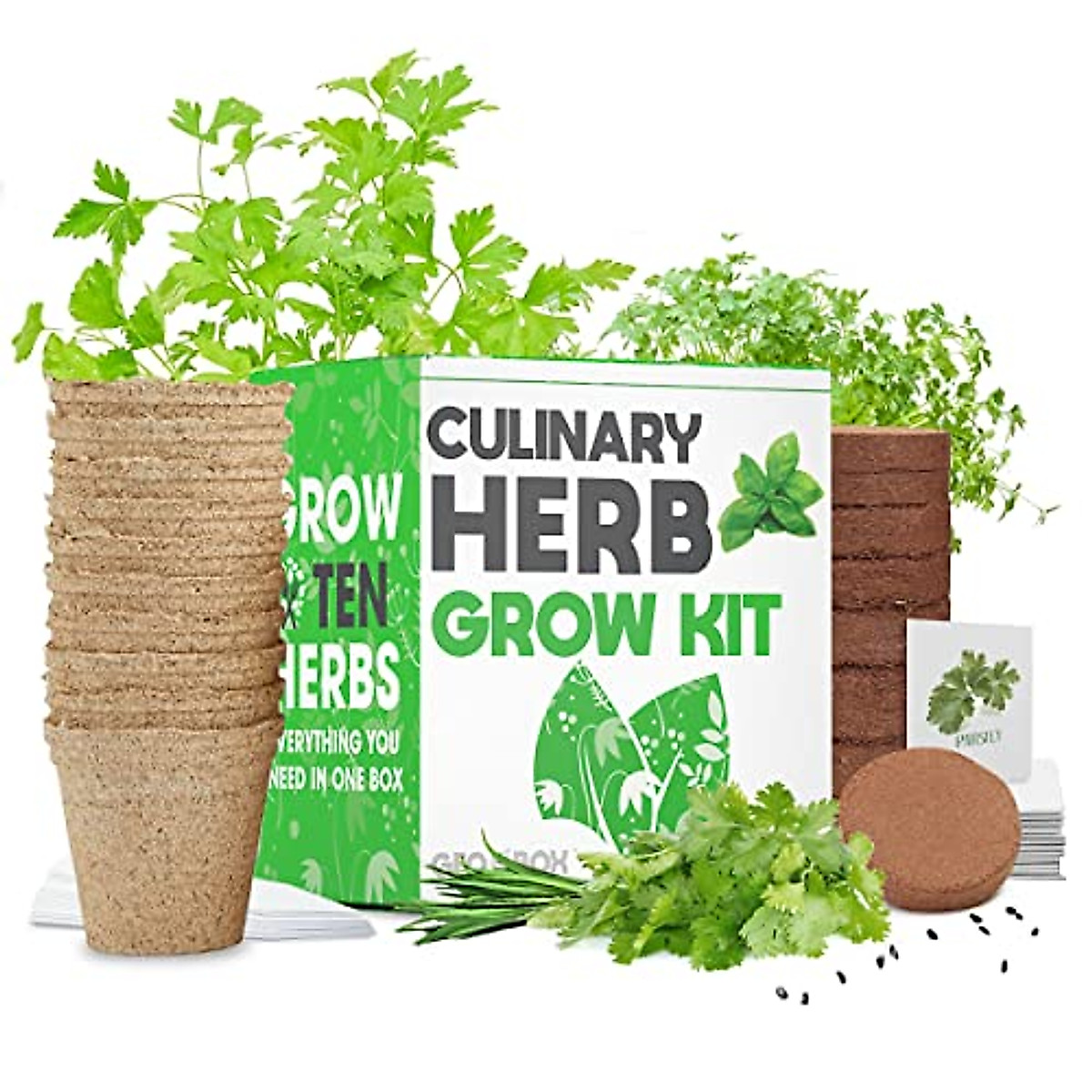 Herb Garden Indoor Herb Garden Starter Kit Easily Grow 10 Herbs Seeds - Indoor Herb Planters - Herb Garden Growing Kit - Grow Basil, Cilantro, Chives, Arugula and More - Gardening Gifts