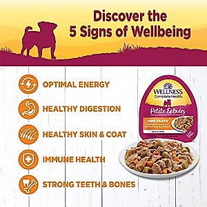 Wellness Petite Entrees Mini Fillets Natural Wet Small Breed Dog Food, Roasted Chicken, Beef, Carrots & Green Beans, 3-Ounce Cup (Pack of 24)