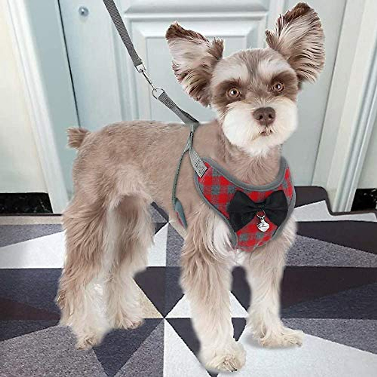 Pet Harness and Leash Set for Walking Small Cat and Dog Harness, Escape Proof Soft Vest Harnesses with Bell Bow, Easy Control Breathable Pet Safety Jacket & 1 Metal Leash Ring