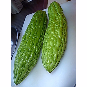 Bitter Gourds Seeds (Asian vegetable)"Green Skin" - 8-10" long - balsam pear(25 Seeds)