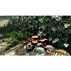 Skyrim: The Elder Scrolls V Special Ed. XBox One LATAM Spanish/English/French