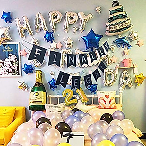 21 Finally Legal 21st Birthday Decorations Black and Silver Finally Legal Party Banners 21st Birthday Party Sign