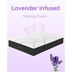 NAP&SLEEP Memory Foam Mattress - Lavender Infused with Cold Touch Cover, Medium Firm to Plush Feel, Helps with Sleep - Sizes Full, Queen, King, 10", 12", 14" (12" Medium, King (U.S. Standard))