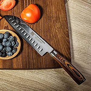 Professional Damascus Chefs Knife, 67-layer Handmade 7" Damascus Santoku Knife, Japanese VG10 Super Steel Core