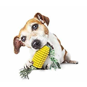 Corn Shape Puppy Chew Toy Pet Dog Molar Toy for Dog Chew Interactive Toys Toothbrush Chew Rope Agressive Chewers, Any Size Any Breed