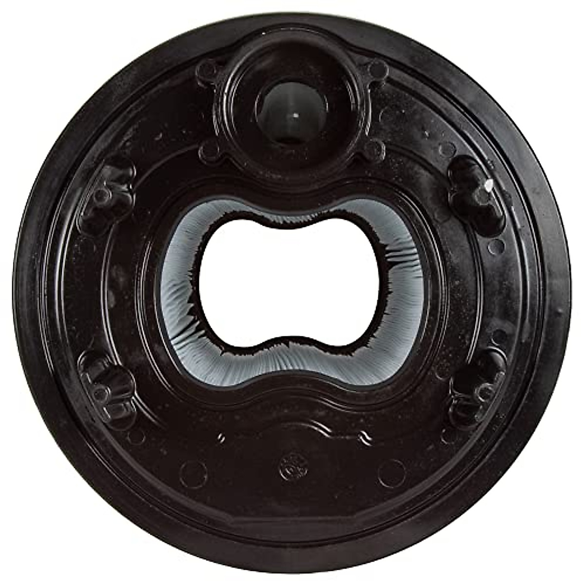 Pentair 27002-0200S Filter Module Replacement Sta-Rite System 2 Modular Media PLM200 Pool and Spa Cartridge Filter