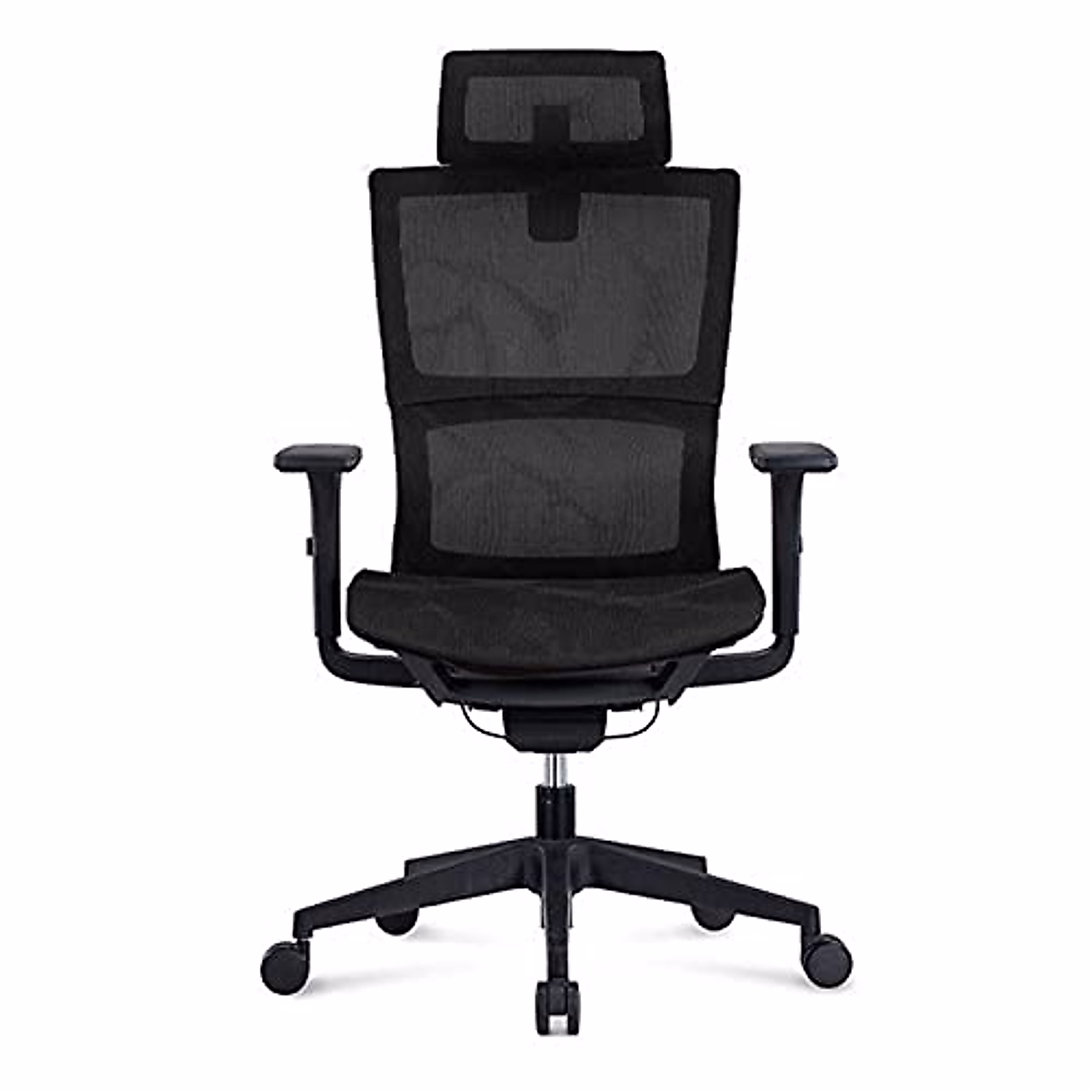 RILOOP Office Chair Chair Ergonomic, Computer Chair Adjustable Seat Height with Back Support and Arms, Desk Chair Comfy, Study Chair for Home, Office and Executive