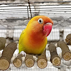 SIMENA Bird Cage Ladder, Parrot Bridge Made of Natural Wood and Rope, Interactive Bird Toy for Small and Medium Sized Birds and Parrots Like Parakeets, Cockatiels, Amazon Parrots, Conures and etc.