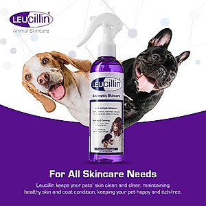 Leucillin Natural Antiseptic Spray for Dogs, Soothes Itchy Skin and Promotes Healing, Effective Treatment for Dogs, Wound and Skin Care Solution for Pets, First Aid Kit Essential - 150ml