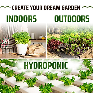 Rooted Acre 15 Lettuce & Green Seeds Pack | Non-GMO Heirloom Seeds | Garden Salad Greens Seeds | Hydroponic Vegetable Seeds for Planting Indoor | Romaine, Kale, Spinach, Arugula, & Butter Lettuce Seed