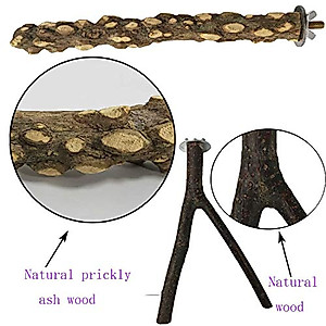 kathson Natural Bird Wood Perch Parakeet Standing Toy Sticks Parrot Paw Grinding Branches Cockatiels Cage Chewable Accessories for Conures Macaws Finches 8 PCS