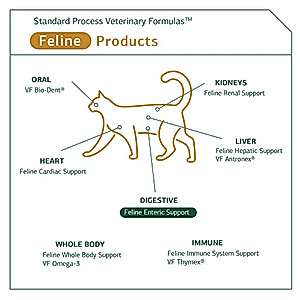 Standard Process - Feline Enteric Support - 90 Tablets
