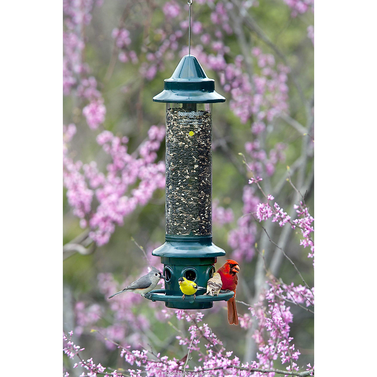 Squirrel Buster Plus Squirrel-proof Bird Feeder w/Cardinal Ring and 6 Feeding Ports, 5.1-pound Seed Capacity, Adjustable, Pole-mountable (POLE ADAPTOR SOLD SEPARATELY), Green