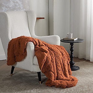Bedsure Faux Fur Burnt Orange Throw Blanket – Fuzzy, Fluffy, Shaggy Orange Blanket, Soft and Thick Sherpa, Cozy Warm Fall Blanket, Autumn Throw Blankets for Couch, Sofa, Bed, 50x60 Inches, 640 GSM