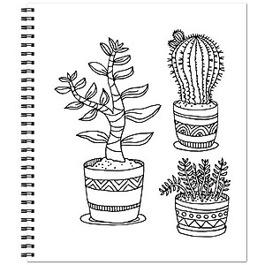 Color & Frame - 3 Books In 1 - Flowers, Deserts, Oceans (Adult Coloring Book)