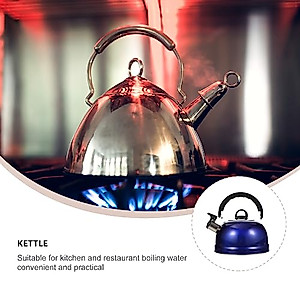 Whistling Tea Kettle Stainless Steel Tea Pot Tea Kettle Stovetop Whistling Kettle with Cool Grip Handle for for Kitchen Camping 3 Liter Gas Stove Teakettle