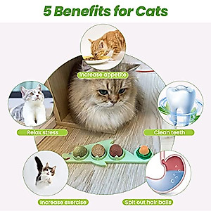 Petslucent Cat Catnip Wall Ball Toys 4in1 Cats Nip Toy Organic Silvervine Lick Roller Crack Treats Mint Licker Edible Spinner Rolling Magic Balls Rotatable Rollerball for Cat Indoor