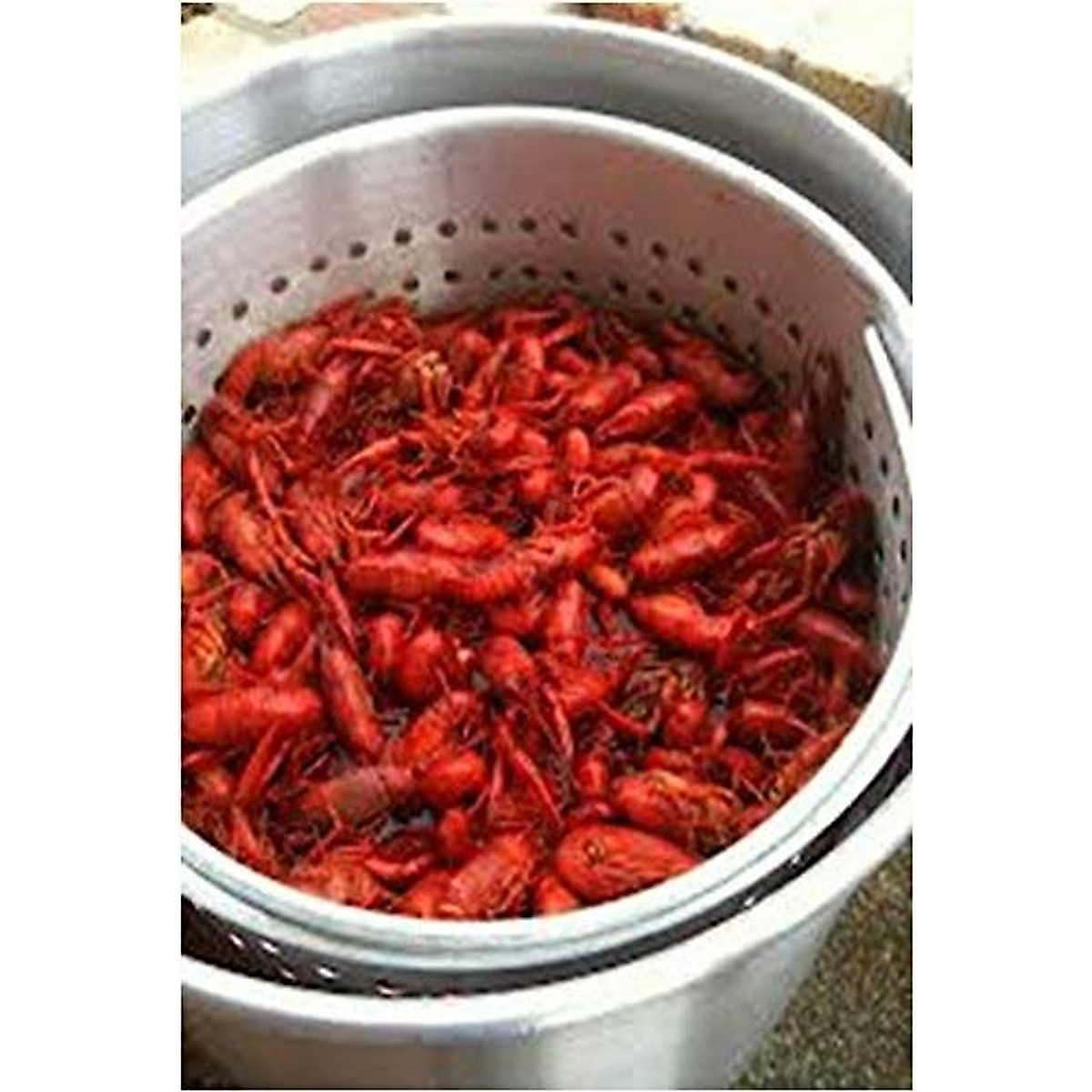 Professional Grade 80 Quart All Purpose Boiling Pot with Basket (3pc) plus a Bonus 12 Quart Stock Pot (2pc) .