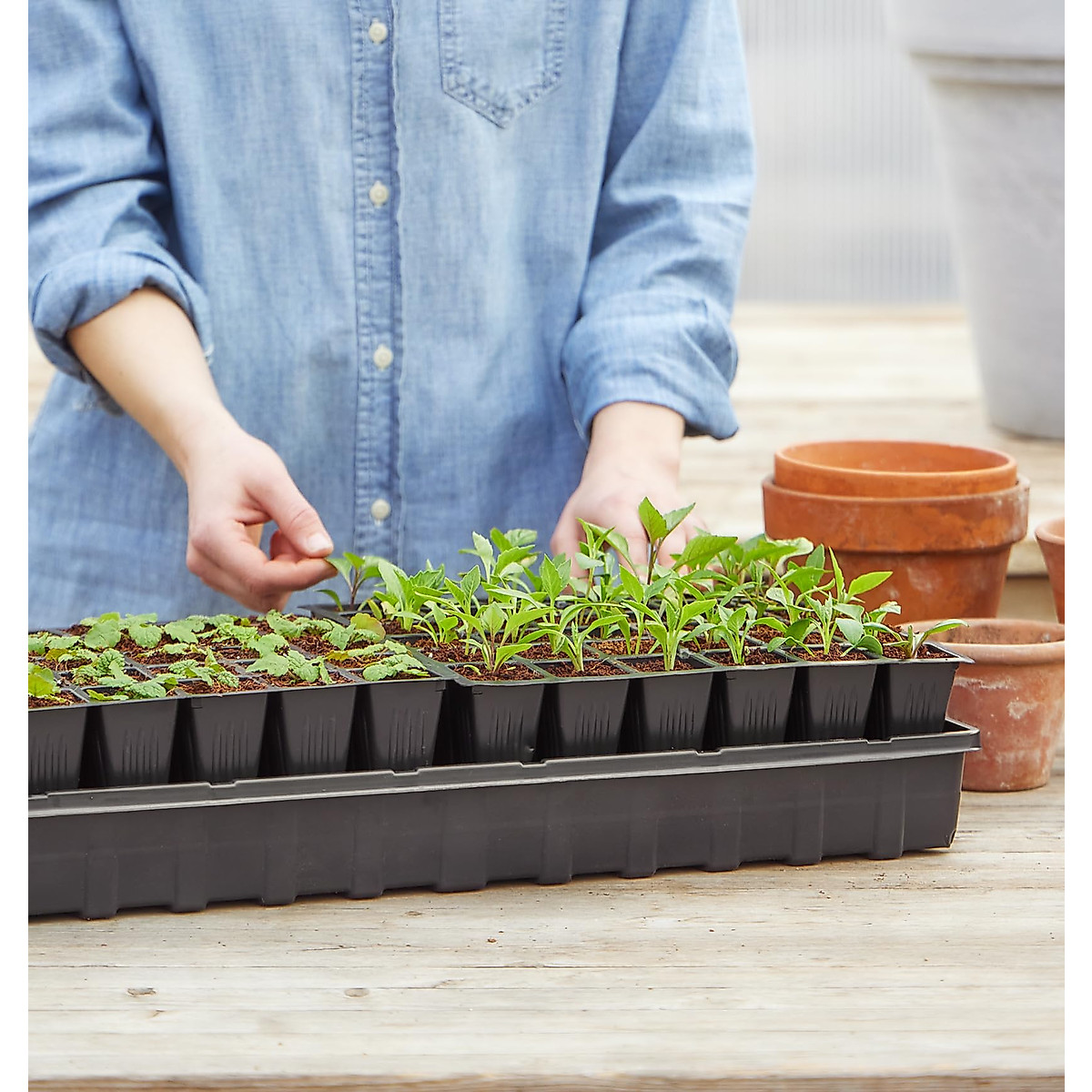 Burpee Self-Watering Seed Starter Tray, 72 Cells