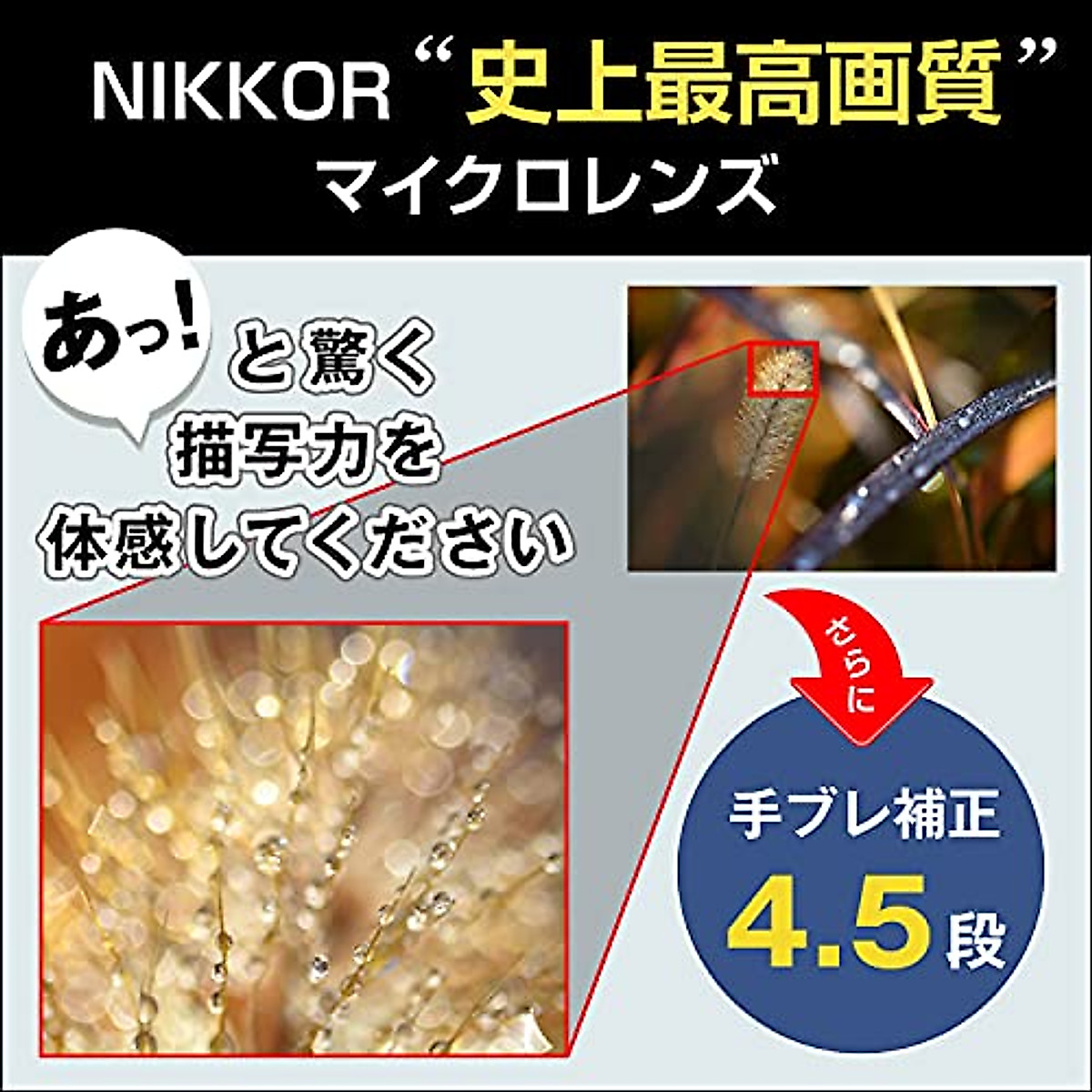 Nikon NIKKOR Z MC 105mm f/2.8 VR S