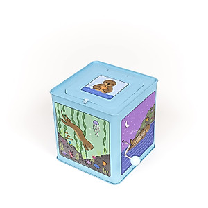 Jack Rabbit Jack in The Box: Otter