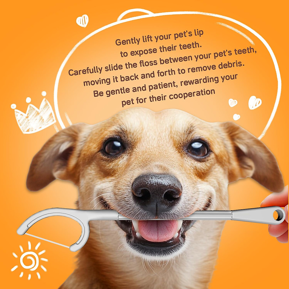 Dr. Emma Dog Tooth Brush Picks Pet Dental Floss for Teeth Cleaning Plaque Remover for Teeth Dental Care for Small to Large Dogs, Cats