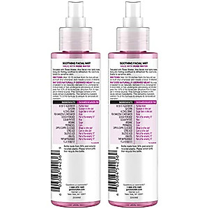 Garnier Facial Mist Spray with Rose Water, 4.4 Fl Oz (130mL), 2 Count (Packaging May Vary)