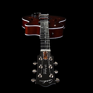 Godin 6 String Electric Guitars, Right Hand, Havana Burst, Hollow-Body (050970)