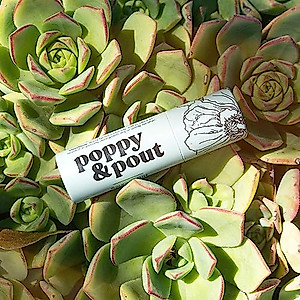 Poppy & Pout Sweet Mint Jumbo Lip Balm | All Natural Lip Balms & Moisturizers | Hydrates with Beeswax, Vitamin E, Organic Coconut Oil | Cruelty-Free | Lip Balm in Recyclable Cardboard Tube