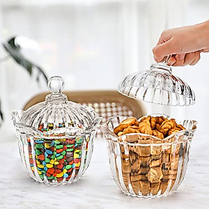 Hacaroa 2 Pack Acrylic Candy Dish with Lid, Crystal Covered Candy Bowls, Decorative Candy Jar Containers for Candy Buffet, Party, Wedding, Housewarming, Clear