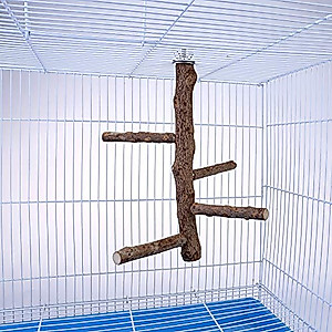 Filhome Bird Perch Stand Toy, Natural Wood Parrot Perch Bird Cage Branch Perch Accessories for Parakeets Cockatiels Conures Macaws Finches Love Birds (M: 10" Length)