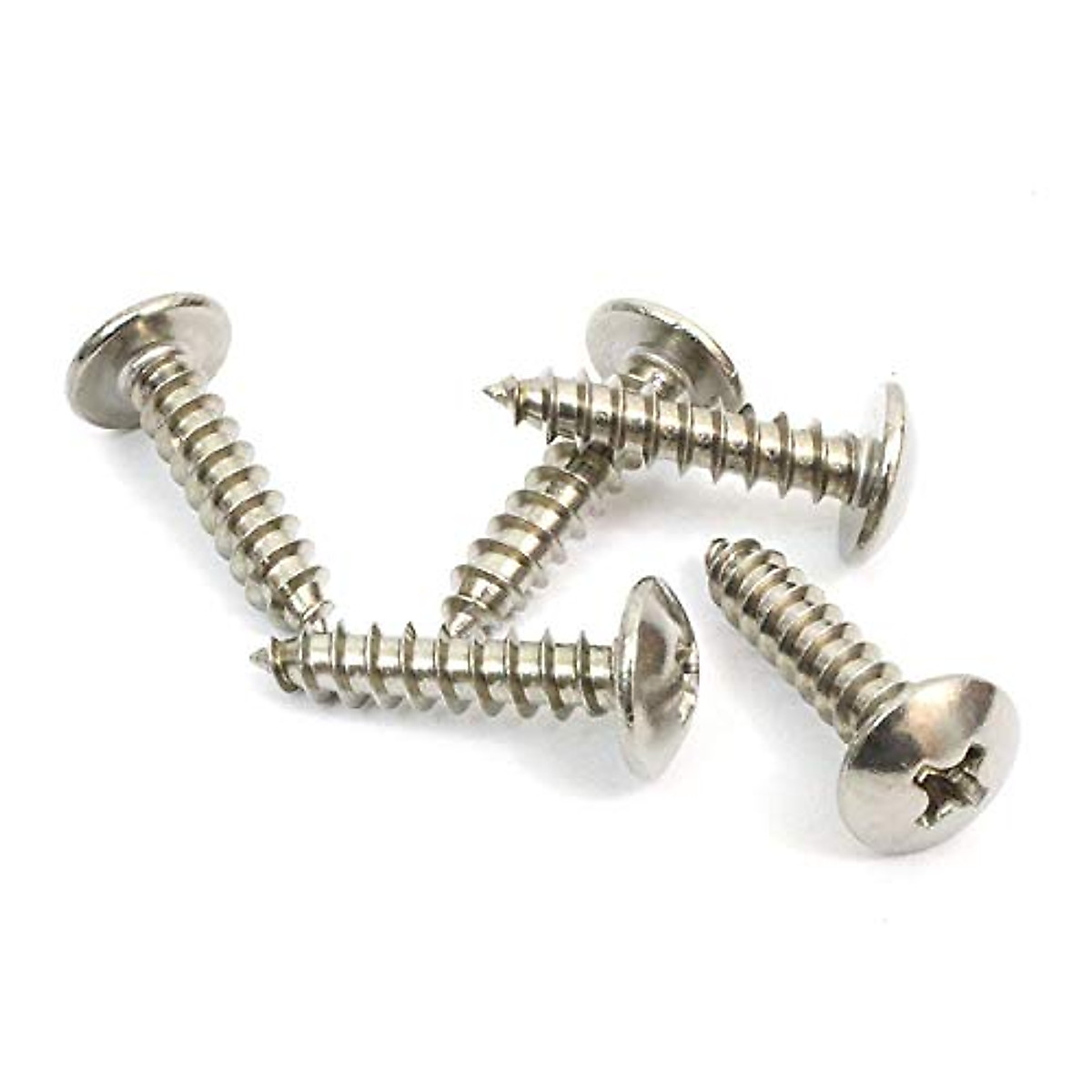 #6 x 5/8" Stainless Truss Head Phillips Wood Screw (100pc) 18-8 (304) Stainless Steel Screws by Bolt Dropper, ssd Screws