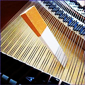 Jiayouy 4 Pieces Piano Mutes Tool Wool Felt Wedge Mute Professional Upright/Grand Piano Tuning Maintenance Kit