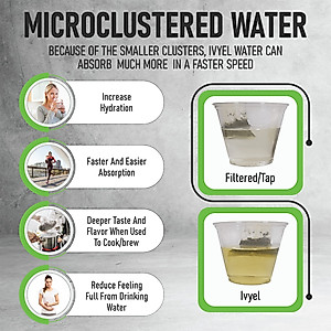 Korea-Made Ivyel PL Alkaline Water Machine,Water ionizer, Produces ph 8.5-10.0 Alkaline Water/Acidic Water/Hydrogen Water/Water Purifier Filter/Ionized Water/Antioxidant Water