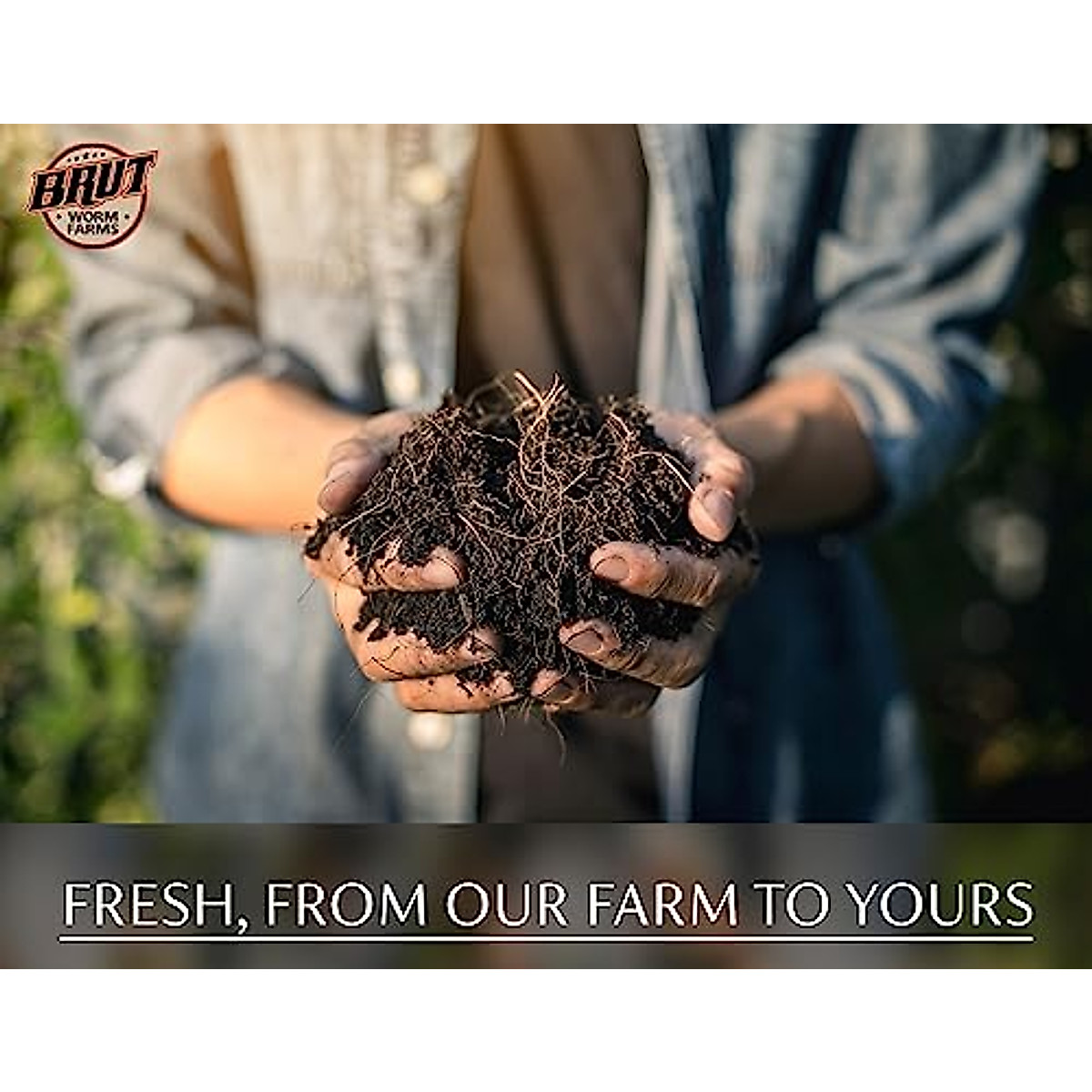 Brut Cow Compost - 12 Lb - Nutrient-Rich Fertilizer for Thriving Gardens - Safe, Pure, and Effective