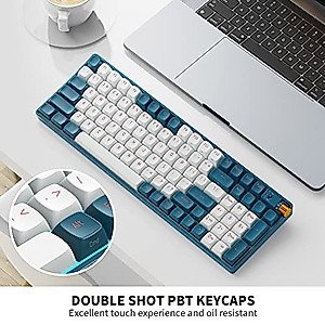ROYALAXE R100 Wireless Mechanical Keyboard, Upgraded TTC Gold Pink Switches, Hot Swappable Wired/Bluetooth 5.0/2.4G Wireless Keyboard with RGB Light for Windows & Mac, PBT Keycaps, Whale Blue