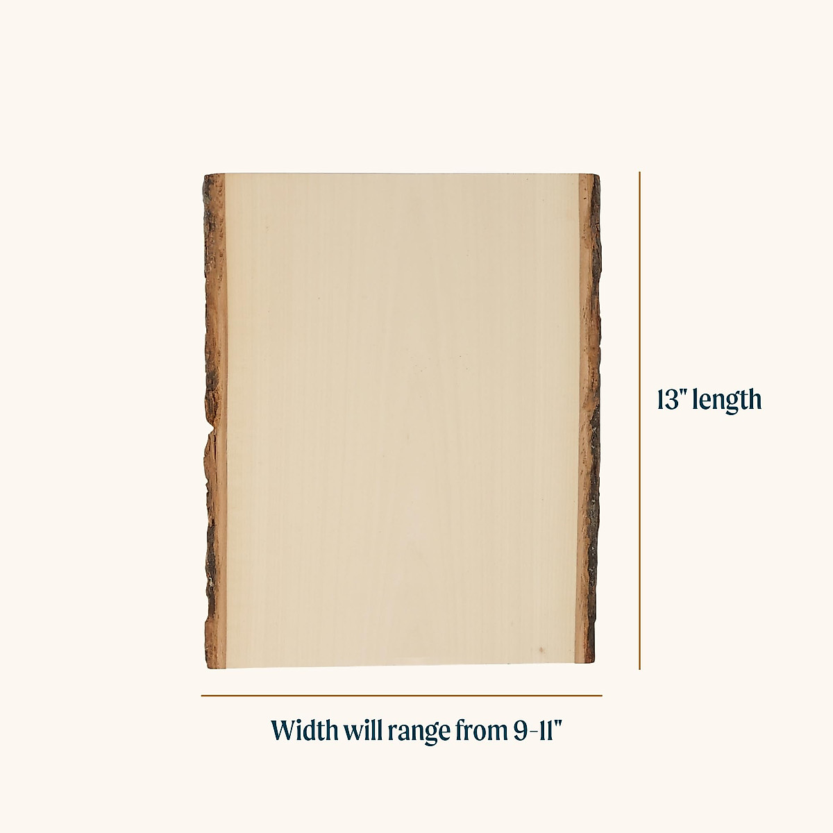 Walnut Hollow Value Pack Medium Basswood Country Planks with Live Edge Bark for Woodburning, Home Décor and Rustic Weddings, 6-pack