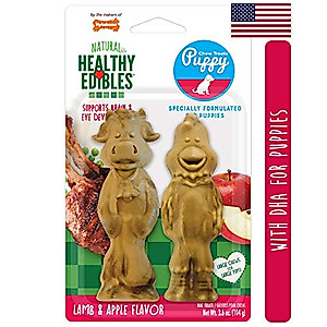 Nylabone Healthy Edibles All-Natural Puppy Chew Treats for Large Breed Puppies Lamb & Apple Medium 2 Count (Pack of 1)