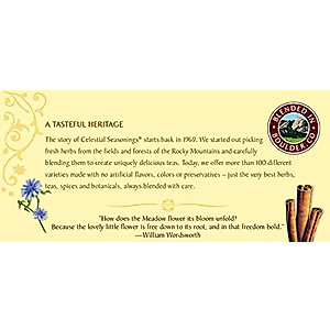 Celestial Seasonings Herbal Tea, Roastaroma, Caffeine Free, 3.3 Ounce 20 Count (Pack of 6)