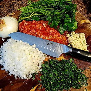 Zelite Infinity Santoku Knife 7 Inch, Santoku Chef Knife, Japanese Chef Knife, Japanese Knife, Chopping Knife, Santoku Knives - Japanese AUS-10 Super Steel 67-Layer Damascus Knife - Razor Sharp Knife