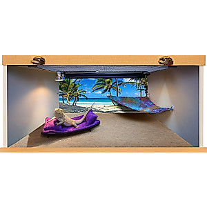 Carolina Custom Cages Reptile Habitat Background, Tropical Beach and Palm Trees, 15.75" x 36"