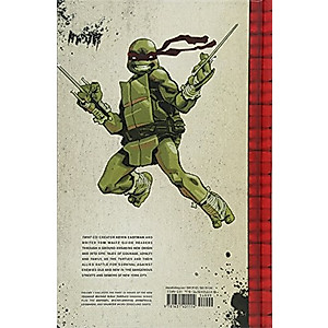 Teenage Mutant Ninja Turtles: The IDW Collection Volume 1 (TMNT IDW Collection)