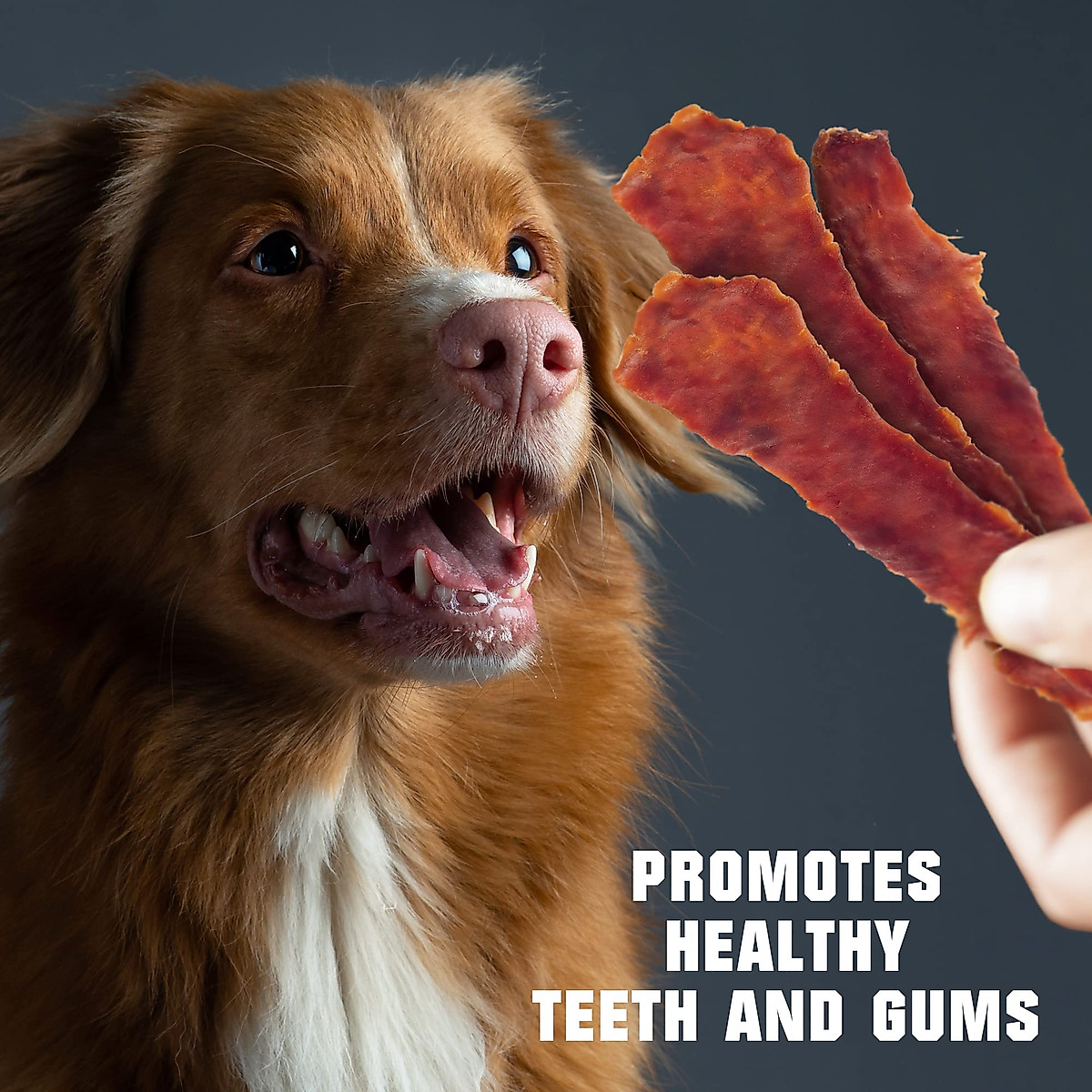 Duck Jerky Dog Treats - Human Grade Pet Snacks - Natural High Protein Meat Dried Strips - Best Chews for Training Small & Large Dogs - Bulk Soft Pack